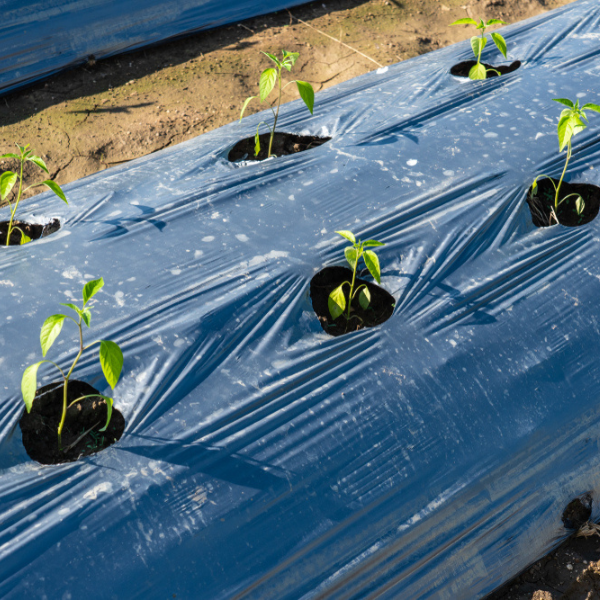 10 Mil Black Crawl Space Vapor Barrier | Farm Plastic Supply